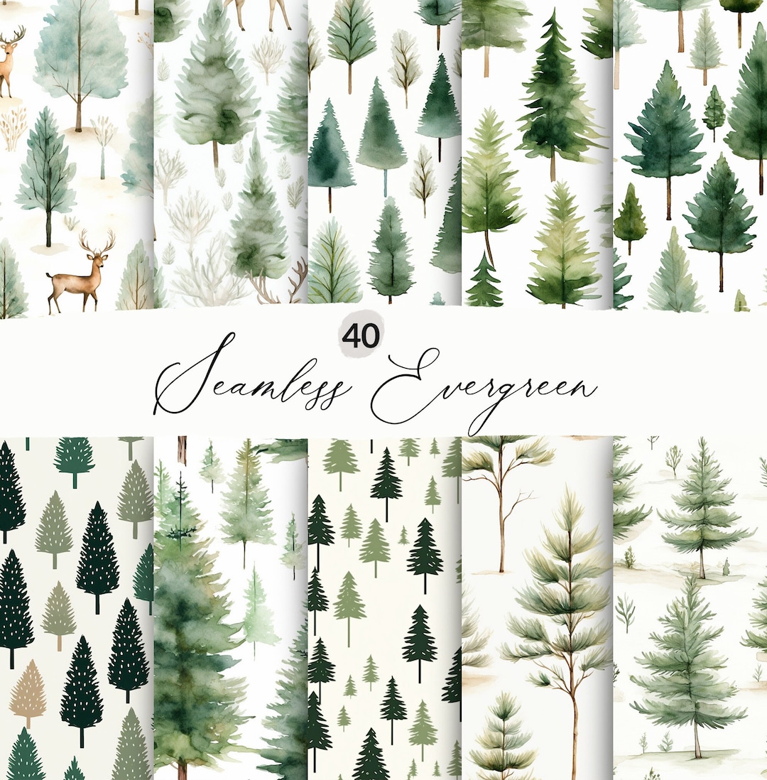Seamless Evergreen Trees Patterns, Seamless Forest Background, Seamless ...