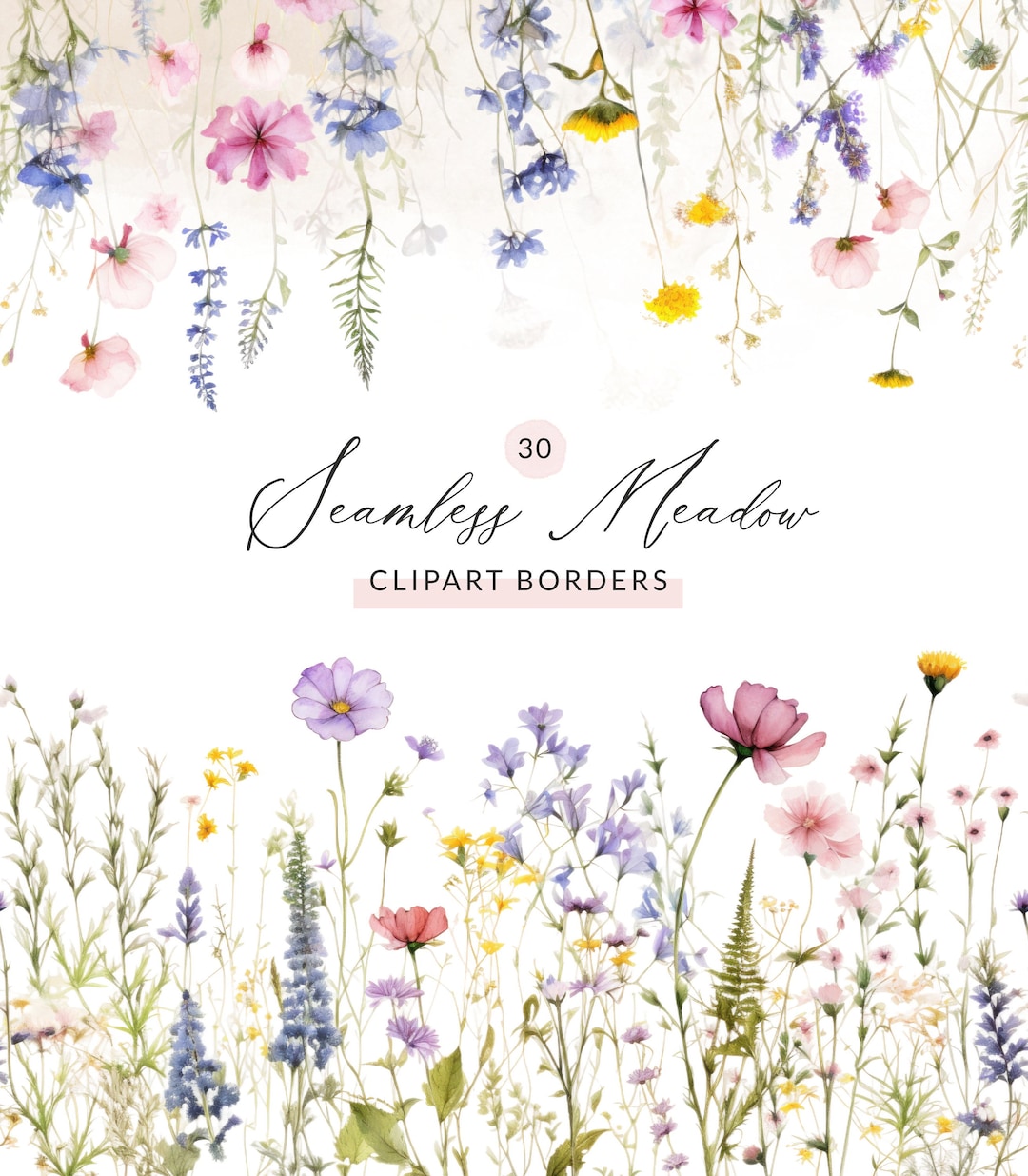 30 Seamless Wildflower Borders, Seamless Meadow Borders, Seamless ...