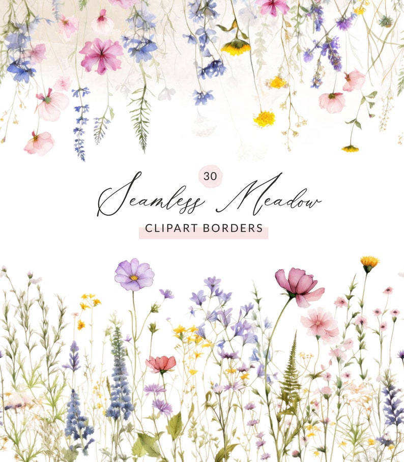 30 Seamless Wildflower Borders, Seamless Meadow Borders, Seamless ...
