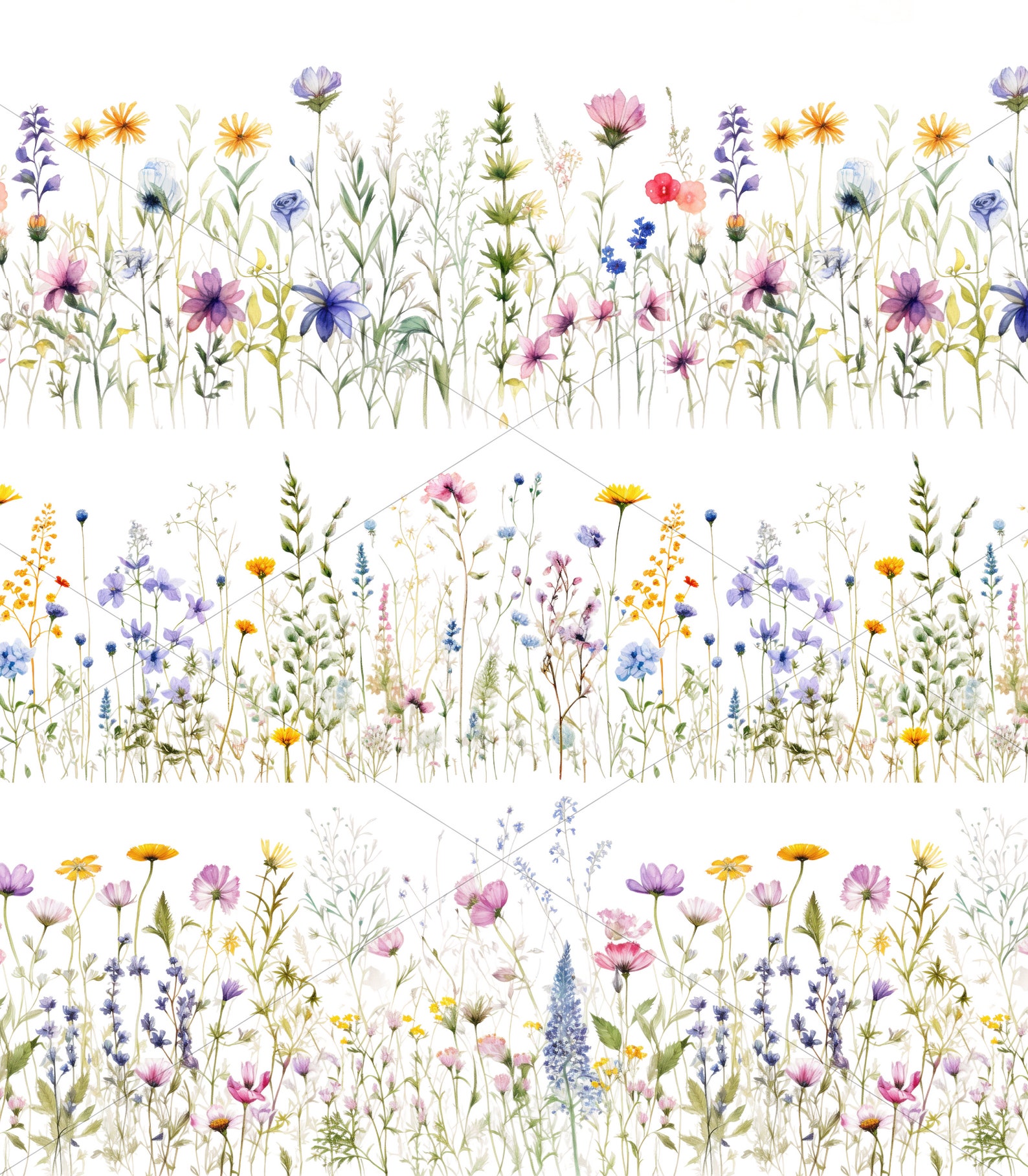 30 Seamless Wildflower Borders, Seamless Meadow Borders, Seamless ...