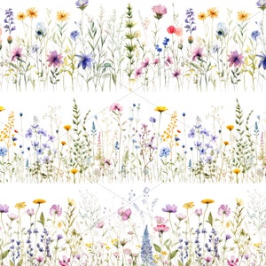 30 Seamless Wildflower Borders, Seamless Meadow Borders, Seamless ...