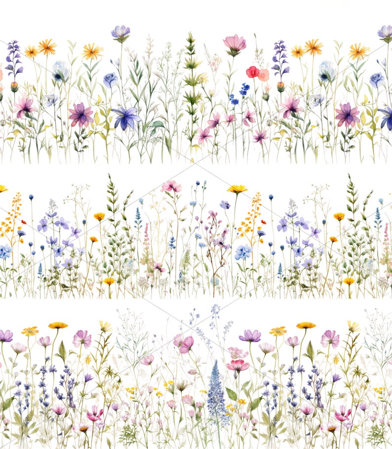 30 Seamless Wildflower Borders, Seamless Meadow Borders, Seamless ...