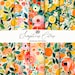 20 Repeating Citrus Designs, Oranges Digital Paper, Clementine ...