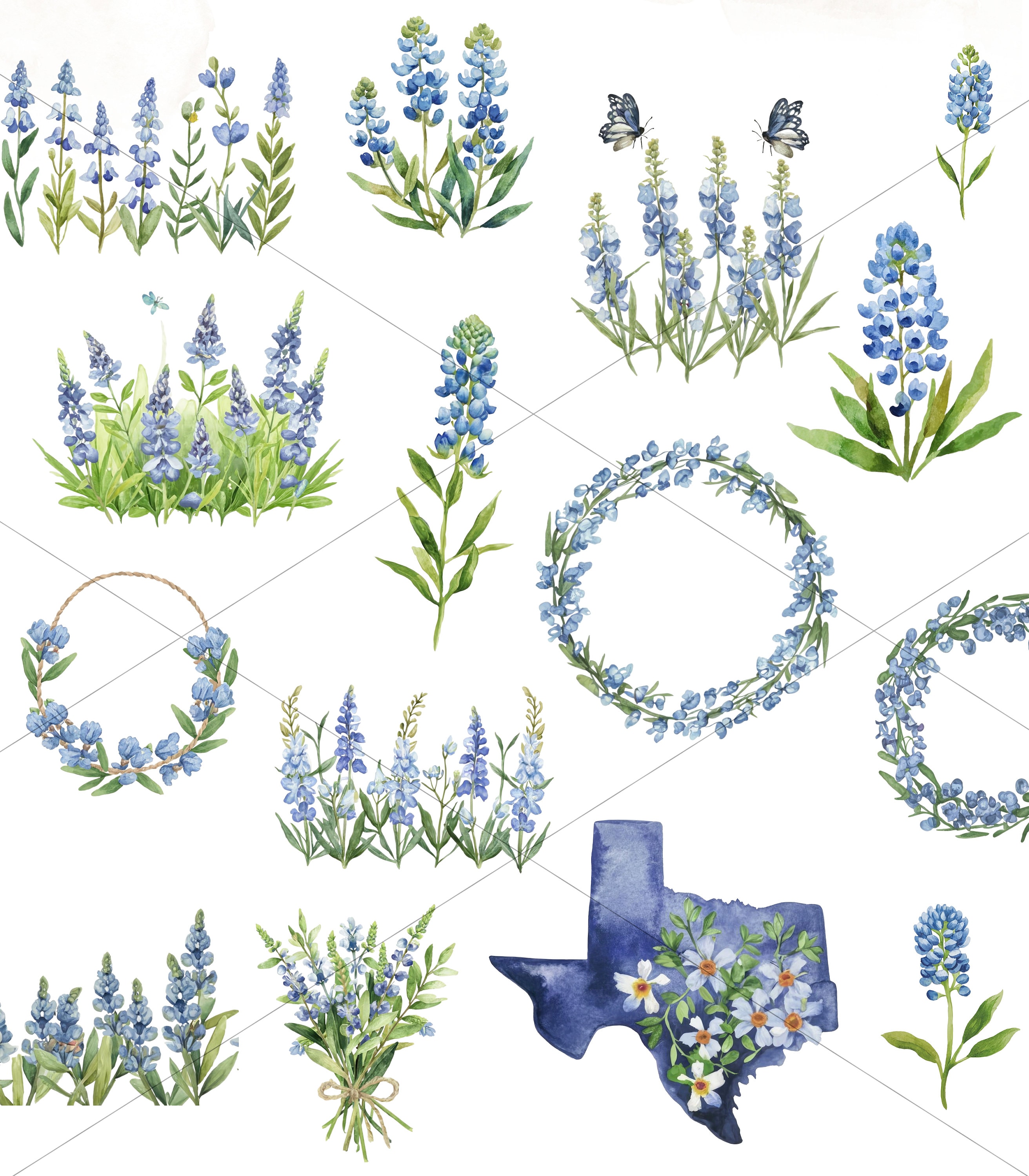 Watercolor Bluebonnet Clipart, Cute Bluebonnet Clipart, Bluebonnet PNG ...
