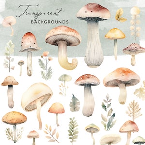 Watercolor Mushroom Clipart, Boho Mushroom Clipart, Mushroom Clip Art ...