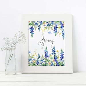 25 Watercolor Bluebonnet Clipart, Watercolor Bluebonnets Spring Clipart ...