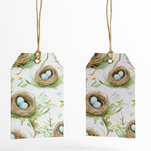 Seamless Nest Pattern, Cute Birds Nest Background Pattern, Seamless ...