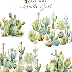 Watercolor Desert Clipart, Painted Cactus Clipart, Watercolor Cactus ...
