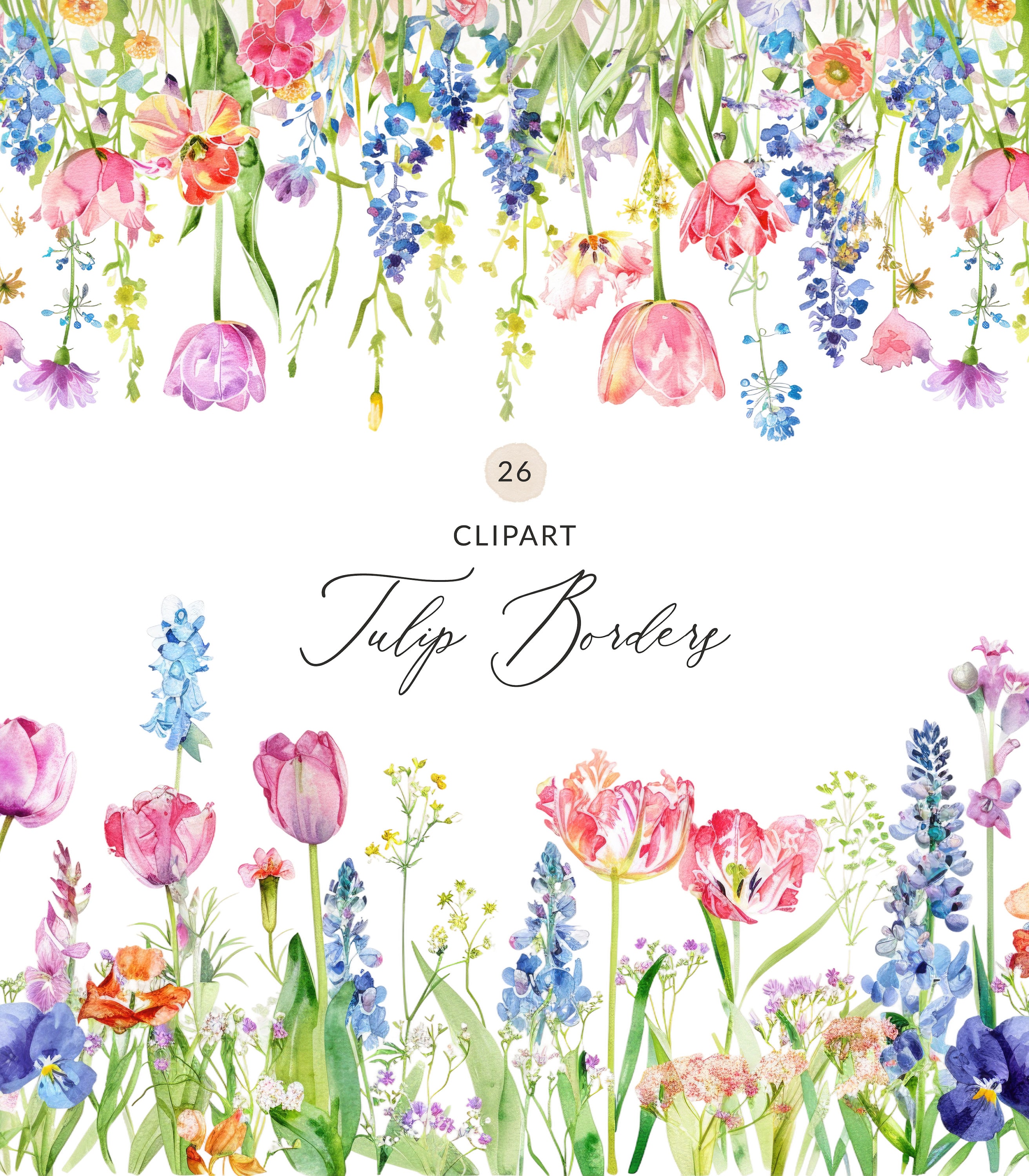 26 Seamless Tulip Borders, Seamless Spring Floral Borders, Tulips Clip ...