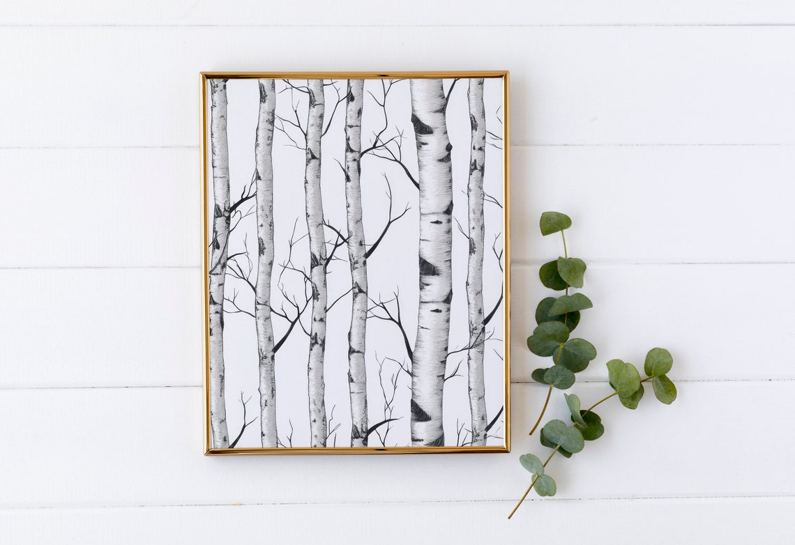 Birch Tree Seamless Pattern White Trees Aspen Tree Pattern Background ...