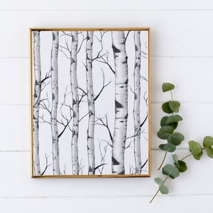 Birch Tree Seamless Pattern White Trees Aspen Tree Pattern Background ...