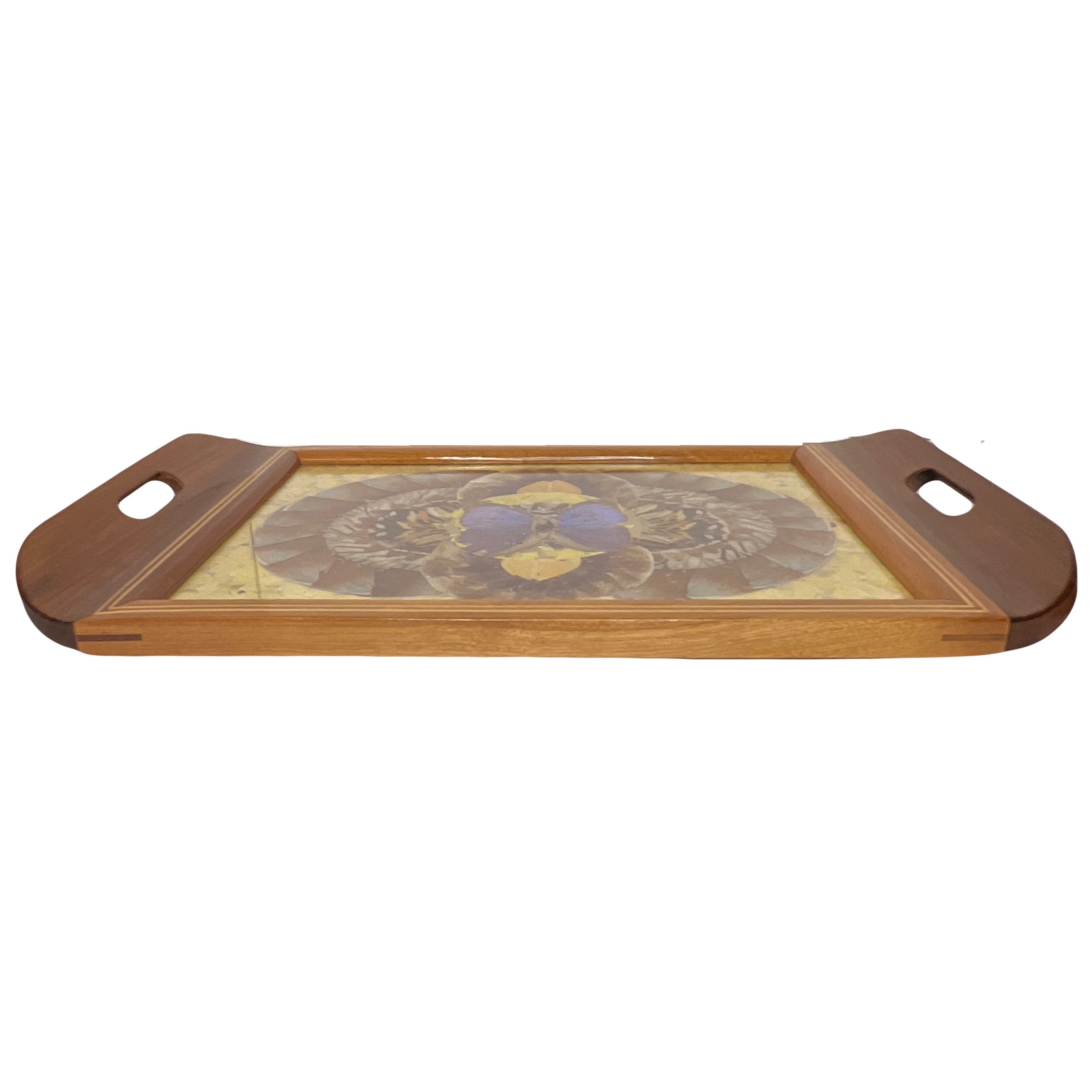 VTG Brazilian Inlay Wood Tray Butterfly Blue Morpho Wings Under Glass ...