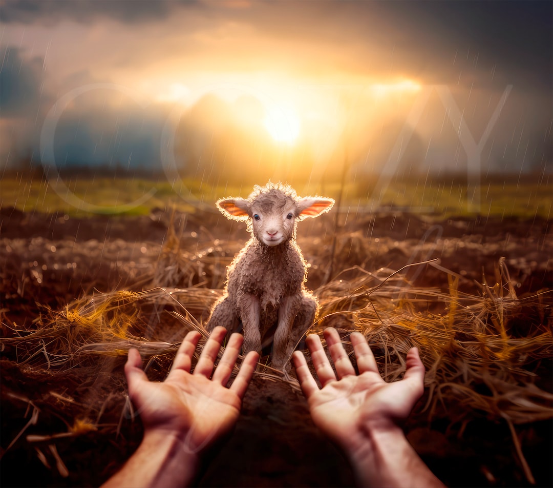 The Good Shepherd, Christ Will Save the Lamb, Bible Verse Wall Art ...