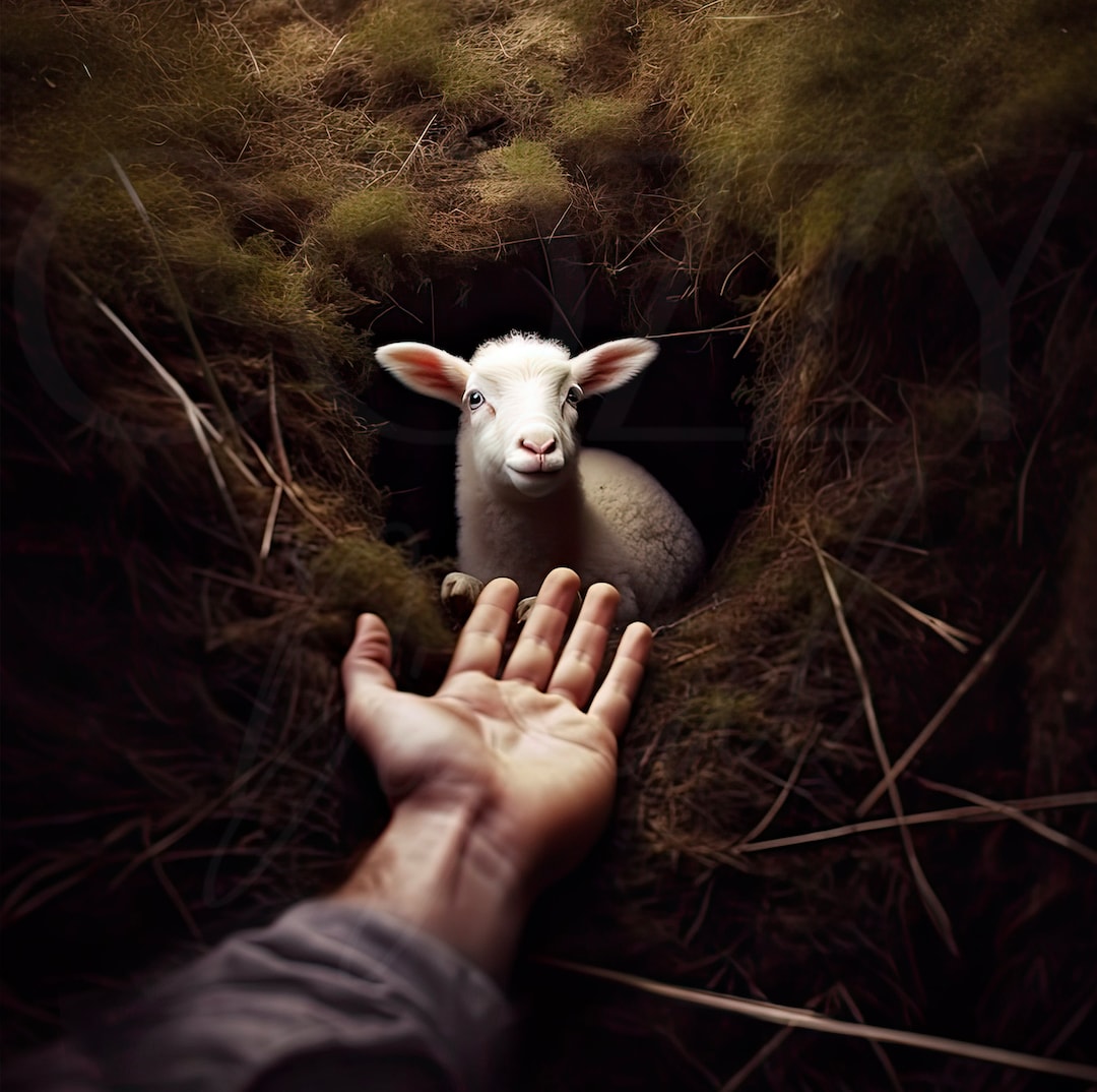 Jesus the Good Shepherd, Christ Religious Wall Art - Christian Gift ...