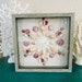 Seashell Collection Shadowbox Framed Wall Art - Etsy
