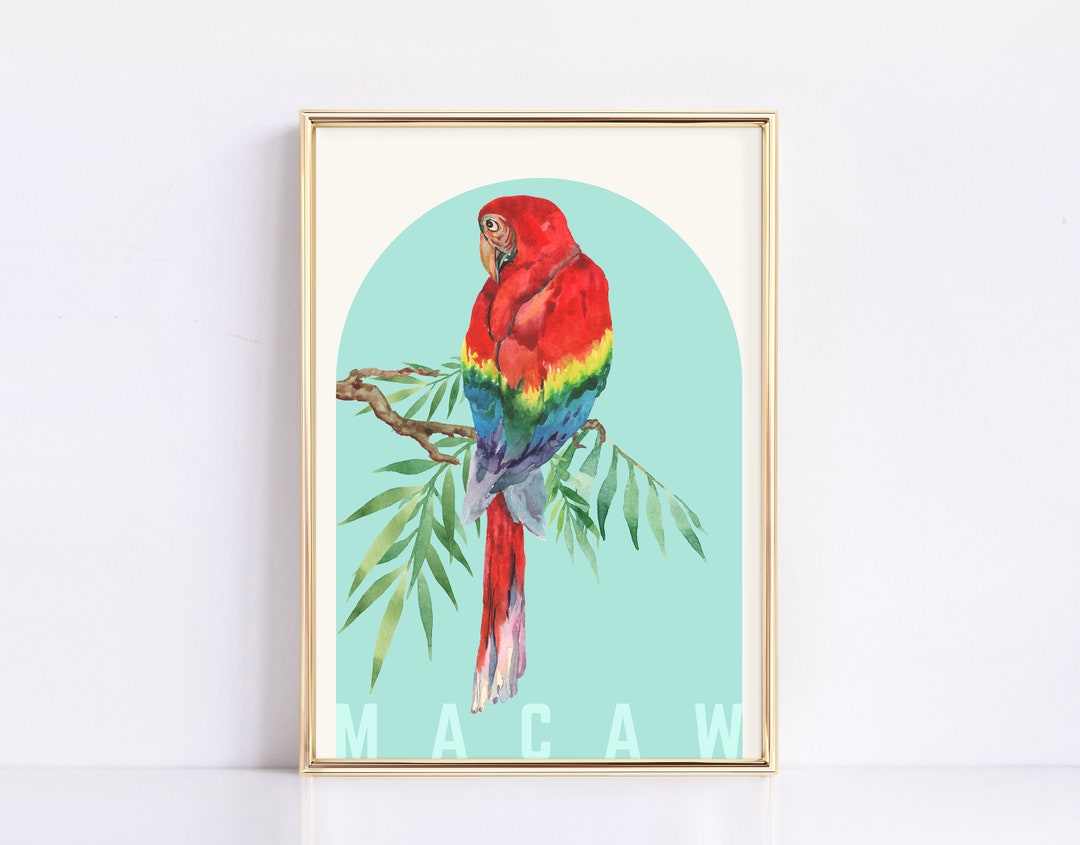 Tropical Macaw Bird Art Print | Digital Download - Etsy