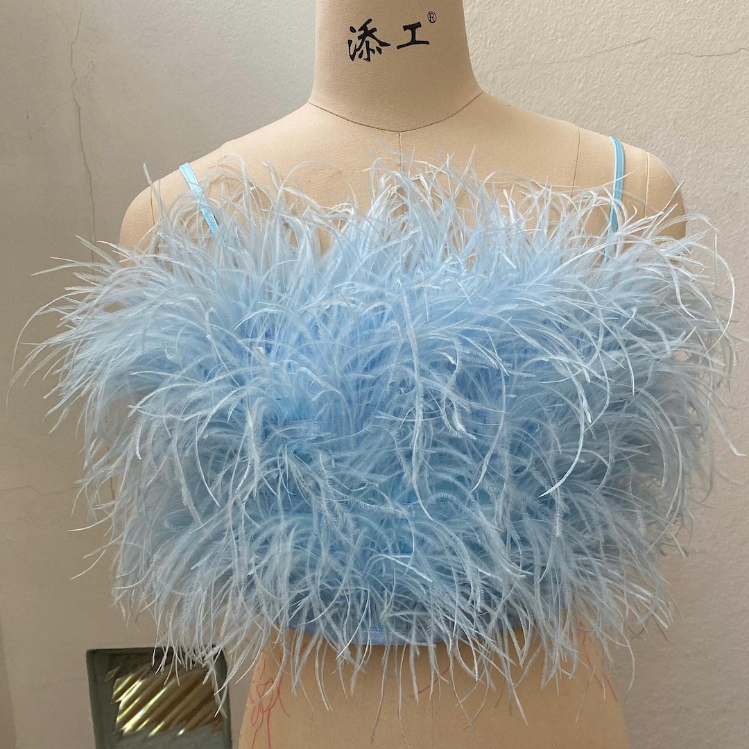 Baby Blue Feather Crop Top for Plus Size,custom Top Gift for Daughter ...