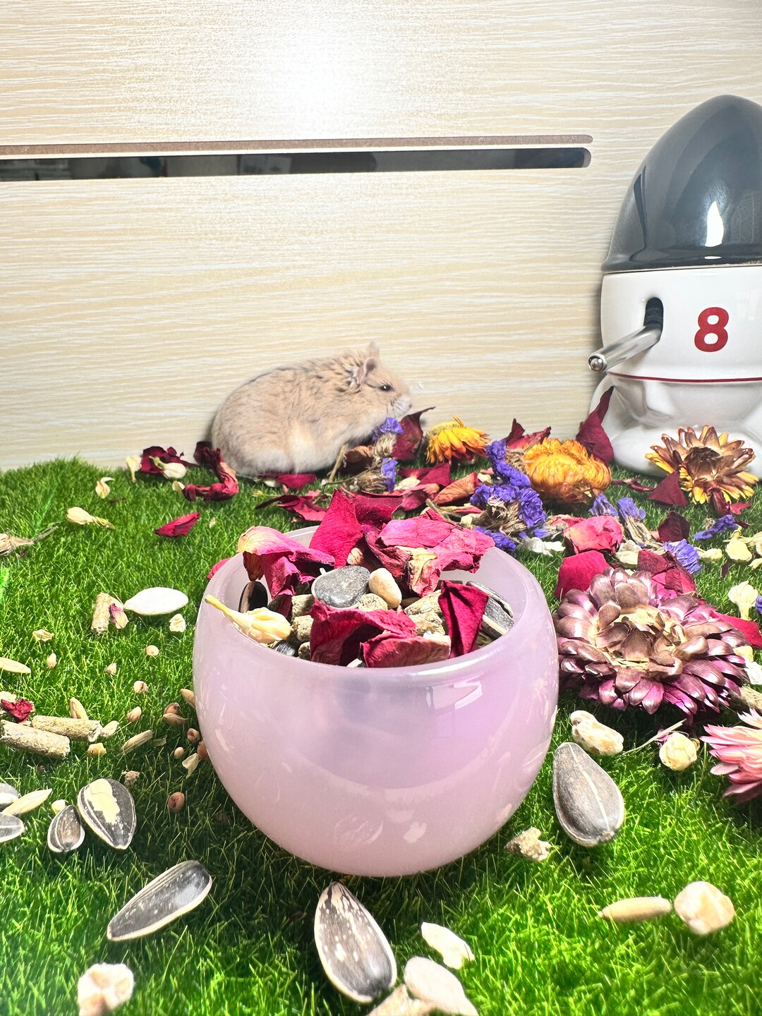 Hamster Food Bowl Feed,hamster Feed Bowl,hamster Feeder,hamster Dish ...