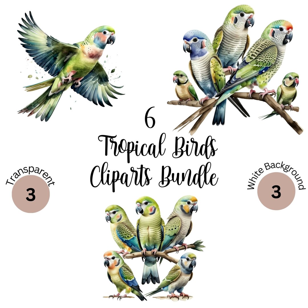 Watercolor Tropical Birds Clip Art Exotic Birds Clipart - Etsy
