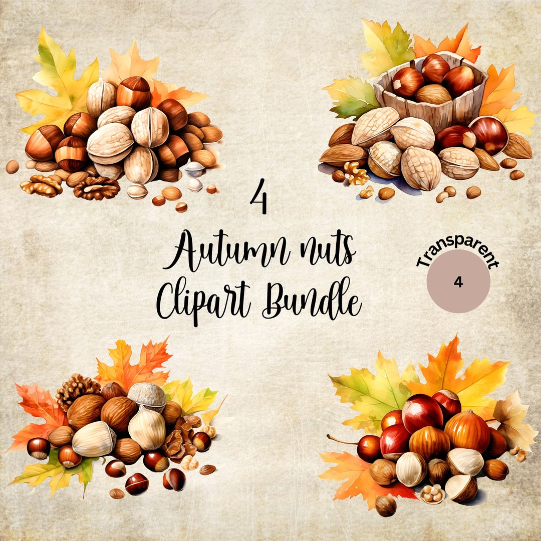 Watercolor Autumn Nuts Clip Art| Fall Leaf, Nuts Png, Nut Illustration ...