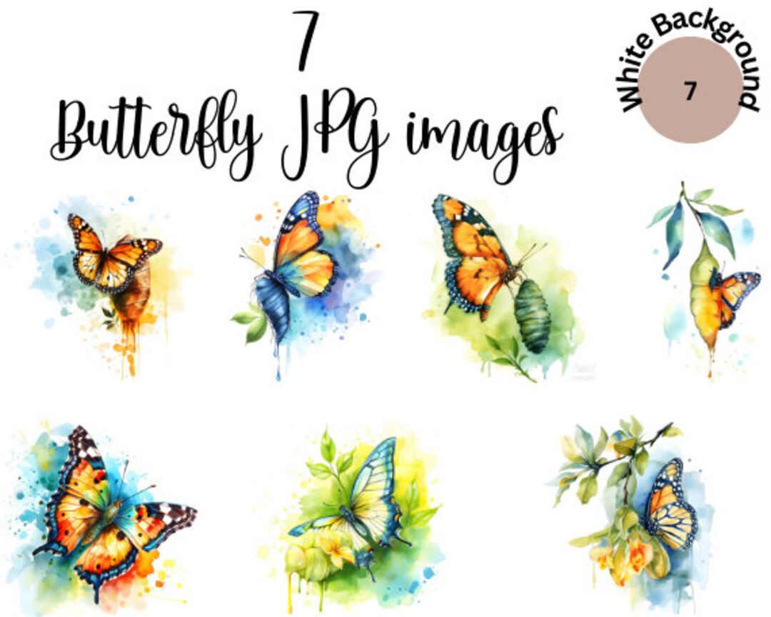 Watercolor Butterfly Clipart Images, Butterflies Emerging From Cocoons ...