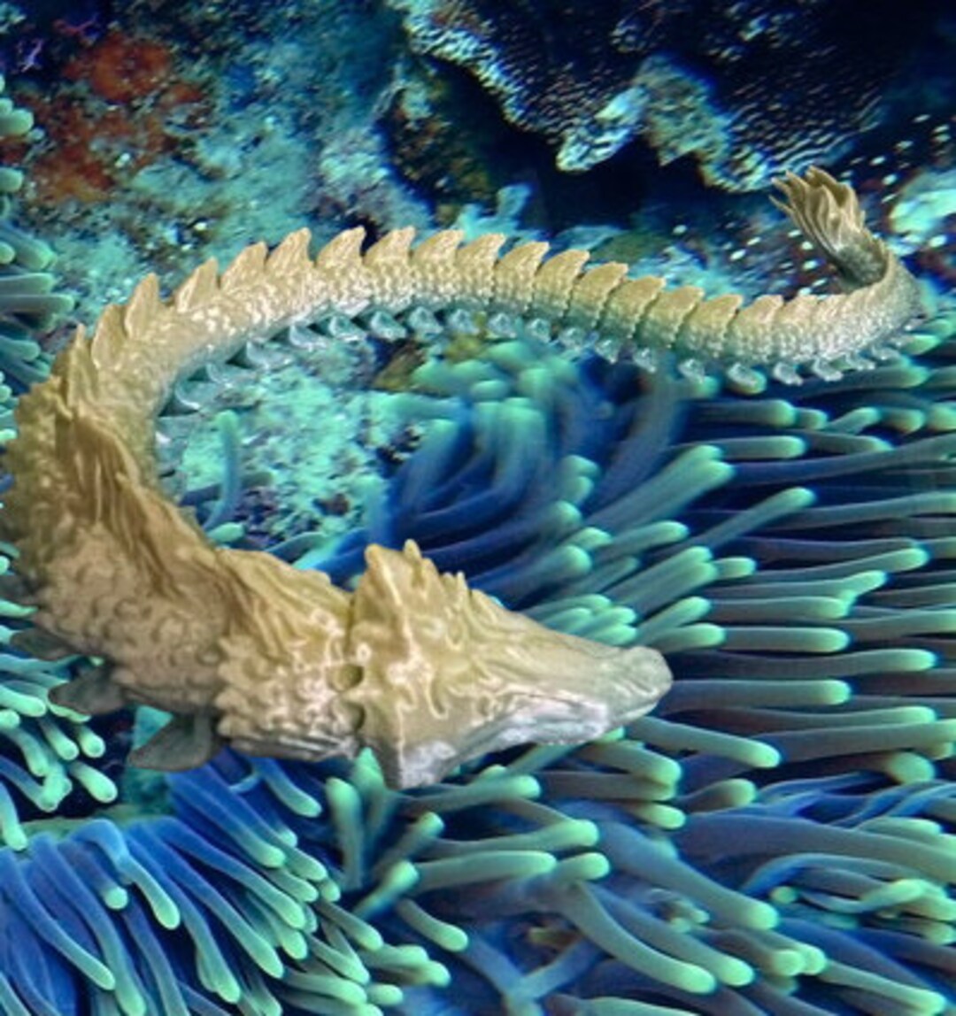 Articulated Rainbow Sea Serpent Monster 3D Printed Fidget Toy - Etsy