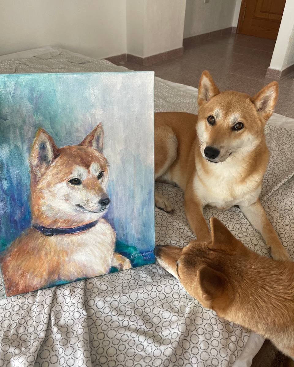Custom Pet Portraits Dog and Cat Paintings Pet Portraits - Etsy