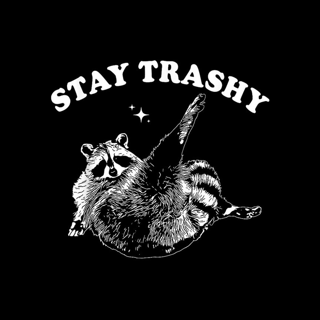 Stay Trashy Funny Raccoon Trash Panda Raccoon Meme Png - Etsy