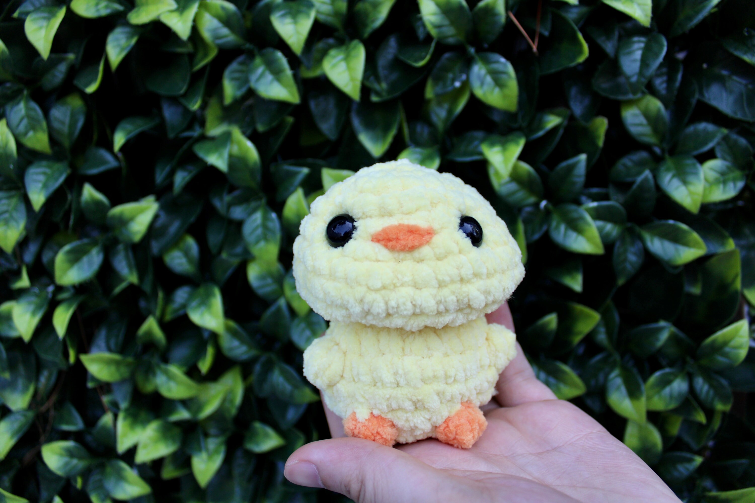 Crochet Amigurumi Plushie Birdy Pop Baby Chicken Chick - Etsy