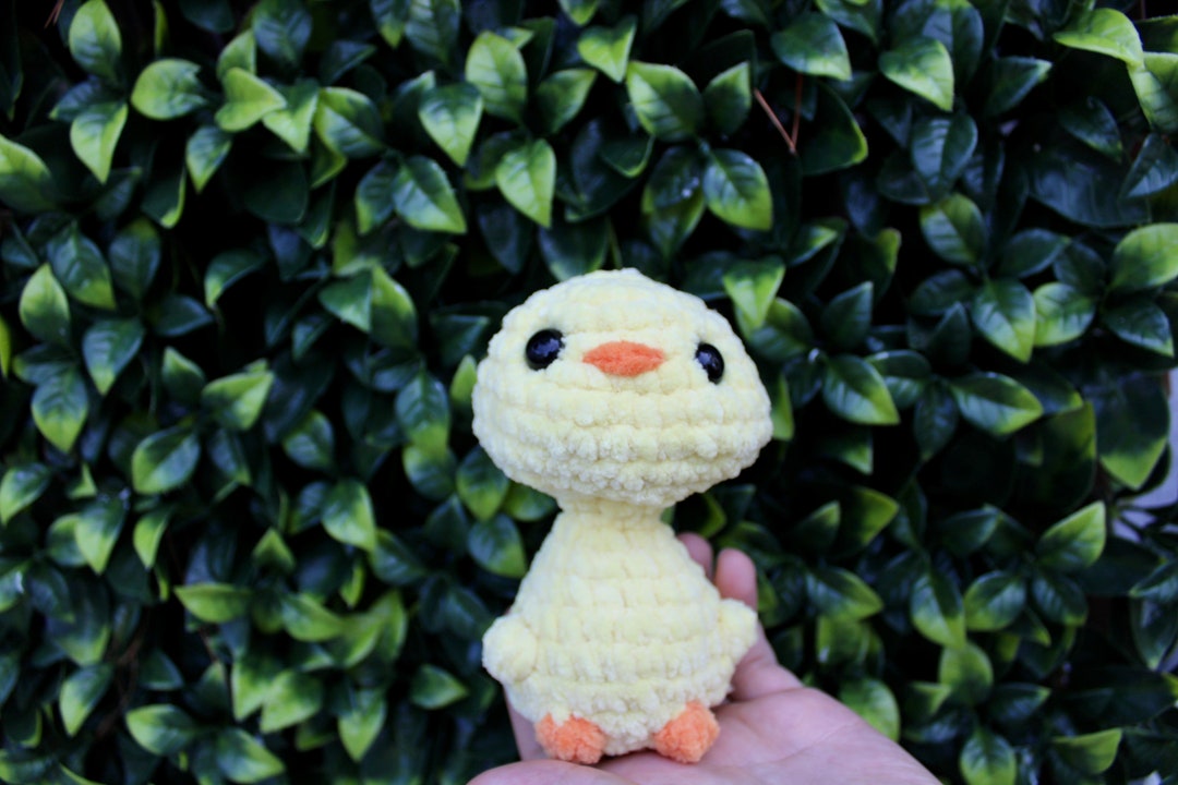 Crochet Amigurumi Plushie Birdy Pop Baby Chicken Chick - Etsy