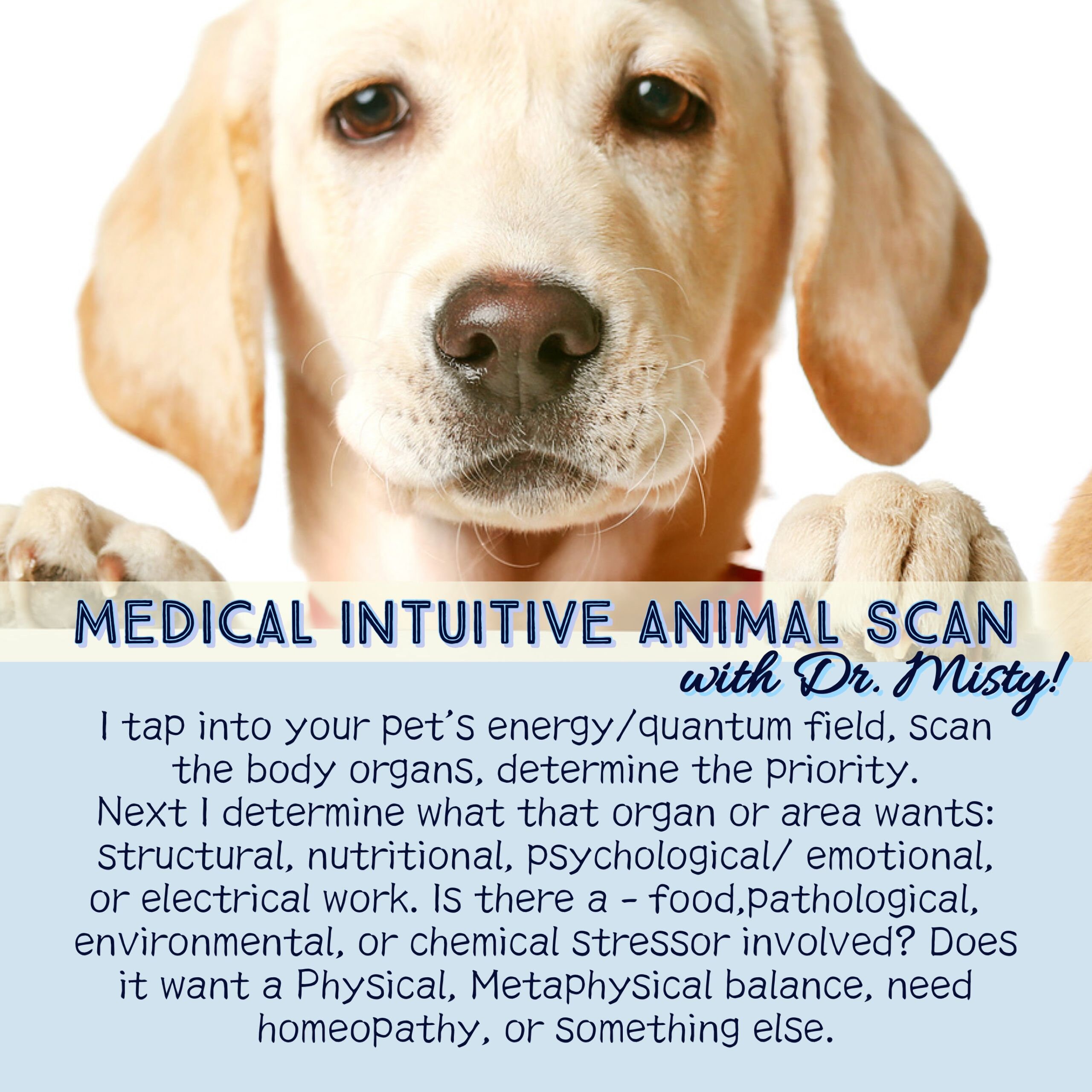 Medical Intuitive ANIMAL Scan, Pet Energy Scan, Animal Communicator ...