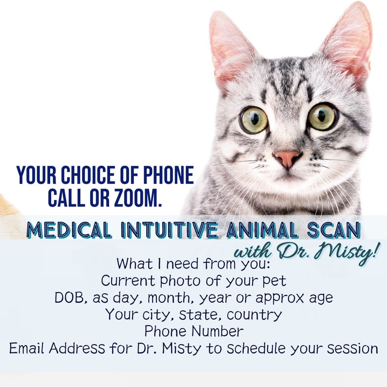 Medical Intuitive Animal Scan, Pet Energy Reading With Dr. Misty - Etsy