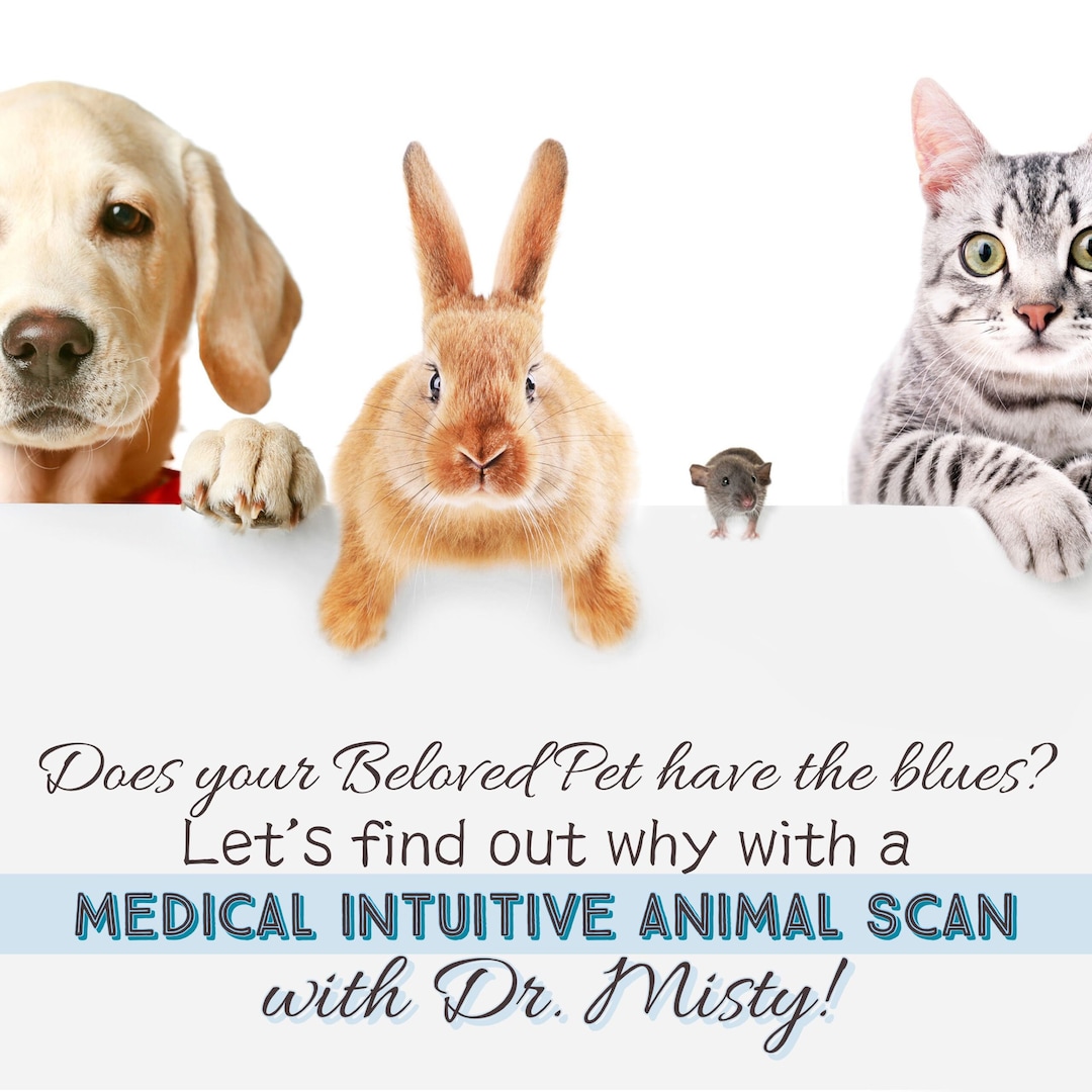 Medical Intuitive ANIMAL Scan, Pet Energy Scan, Animal Communicator ...