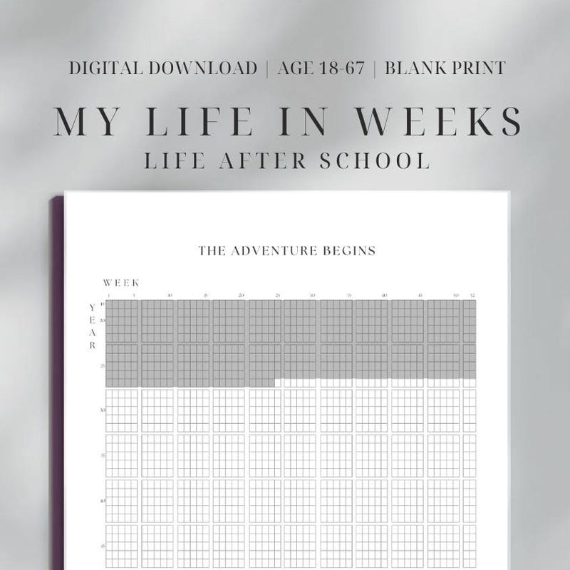 Life in Weeks Poster - Etsy