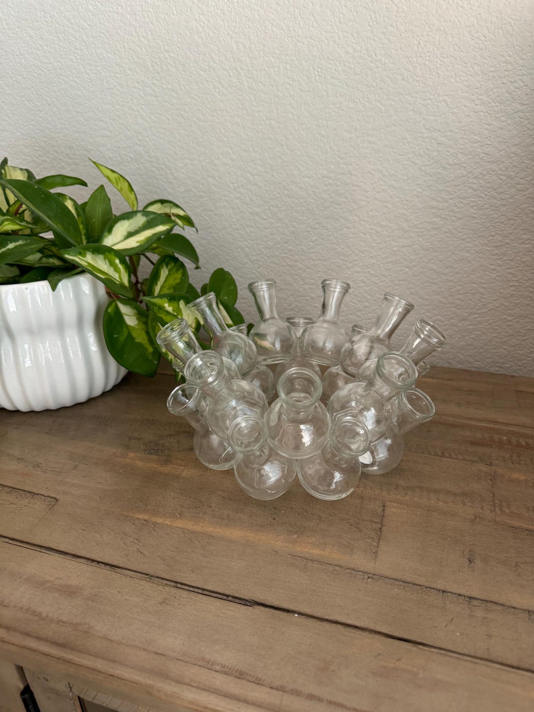 Vintage Stacked Circular Clear Glass 18 Cluster Bud Vase Propagation ...