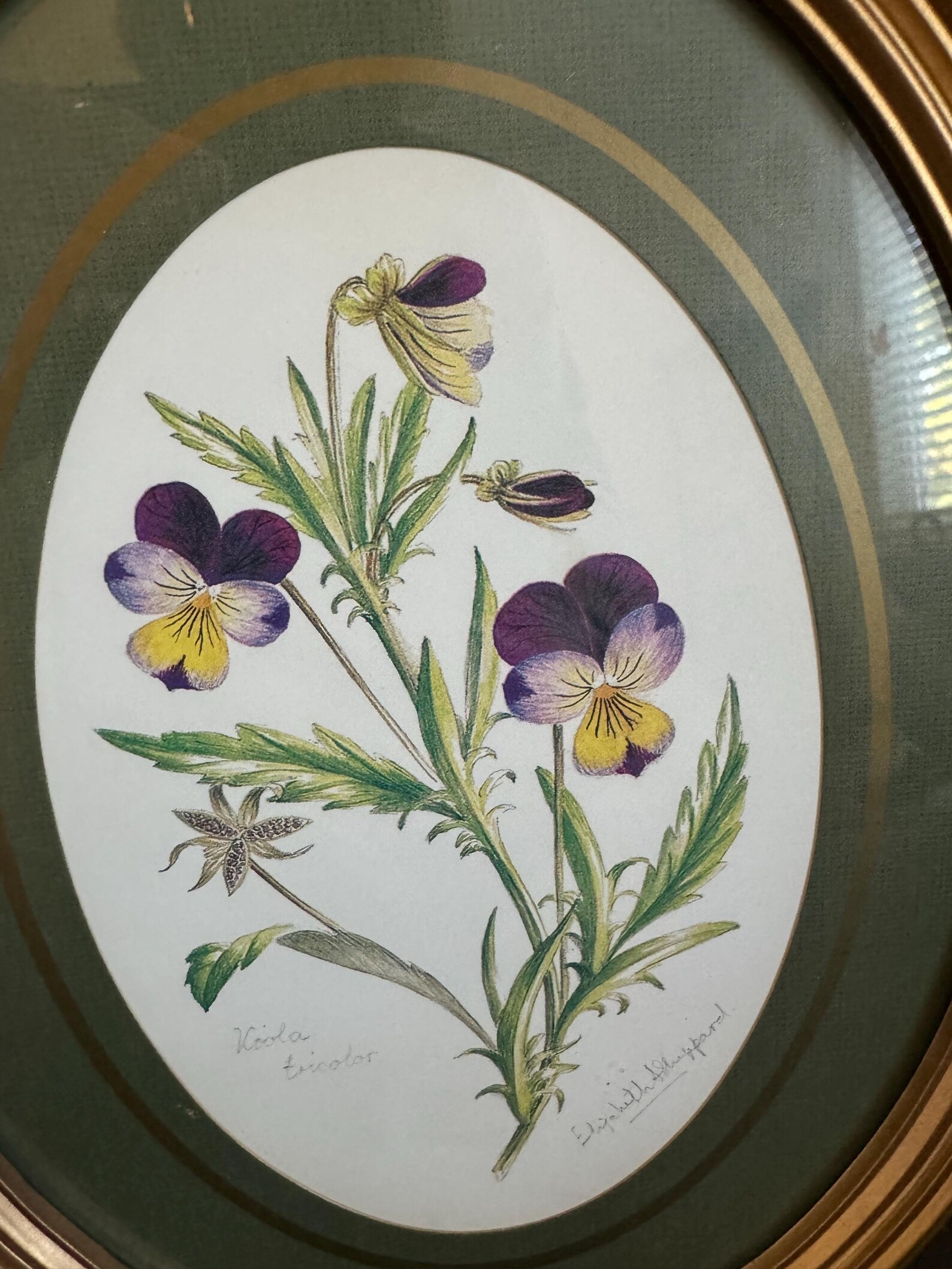 Vintage Elizabeth Sheppard Floral Oval Framed Art Great Britain Set of ...