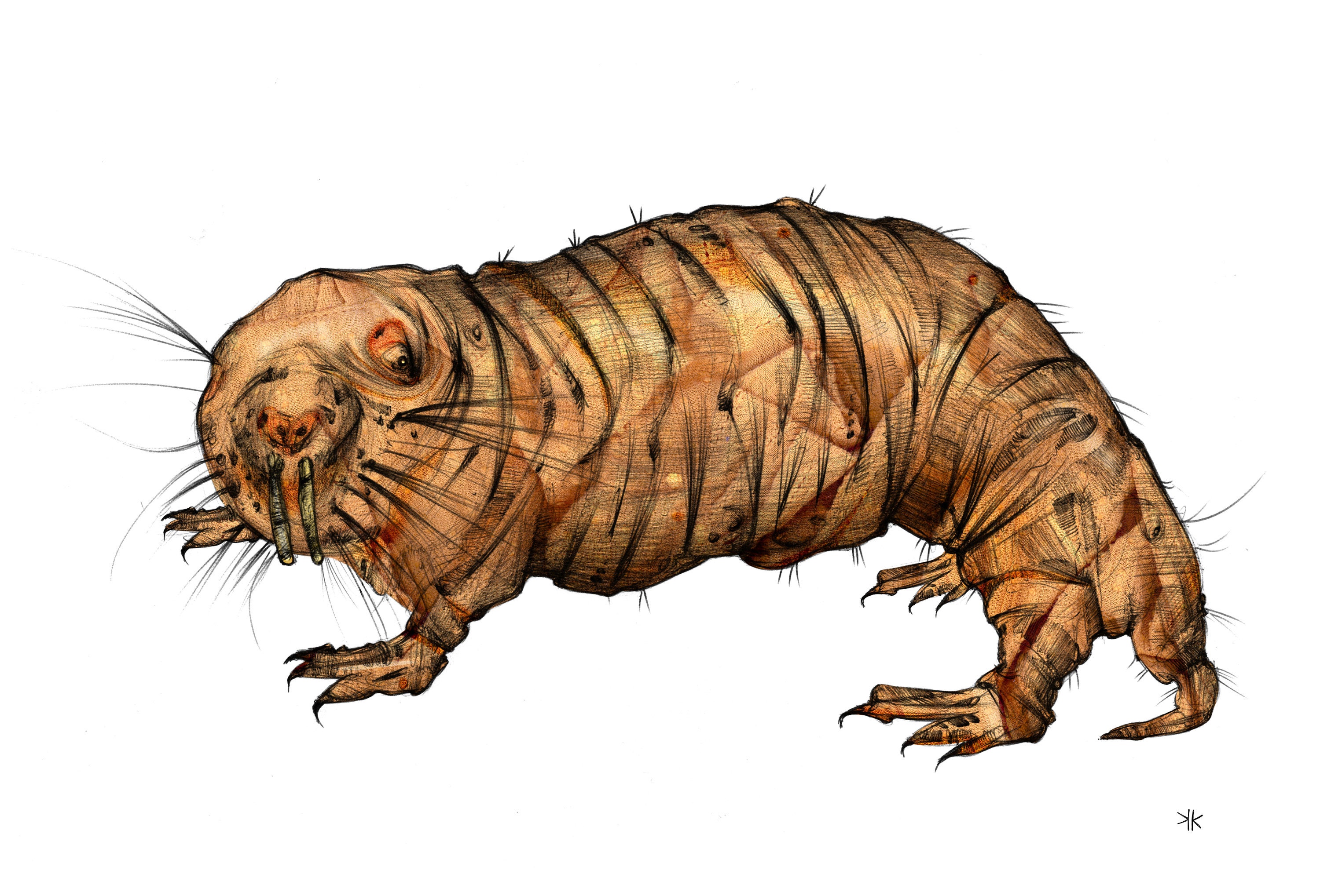 Fallout 3 Mole Rat