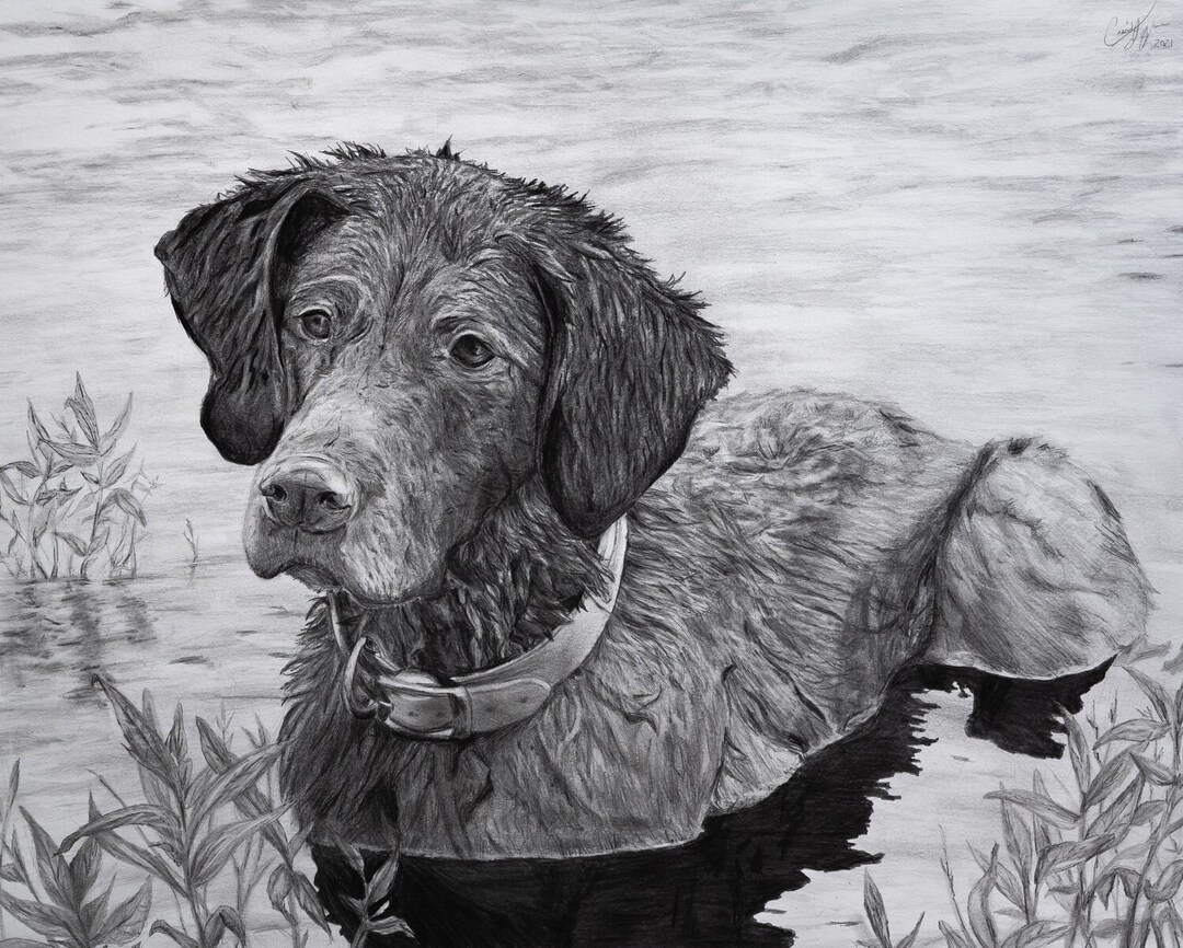 Custom Graphite Pet Portrait Drawn From Photo - Etsy