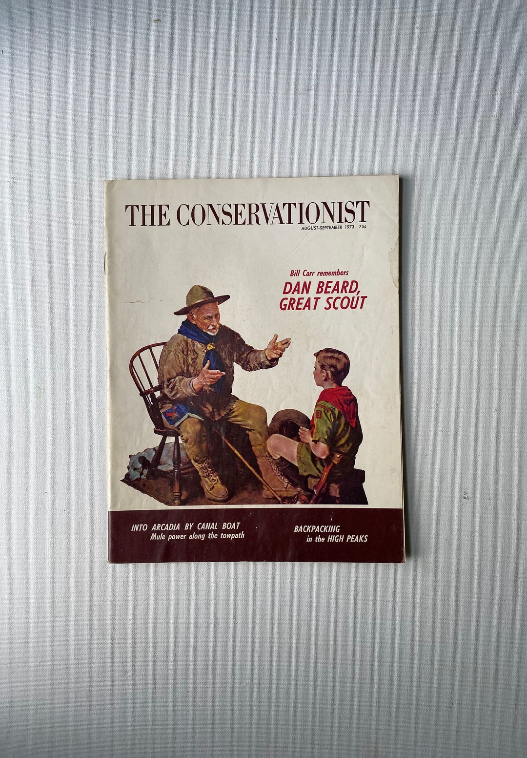 August September 1973 Issue of New York State THE CONSERVATIONIST ...