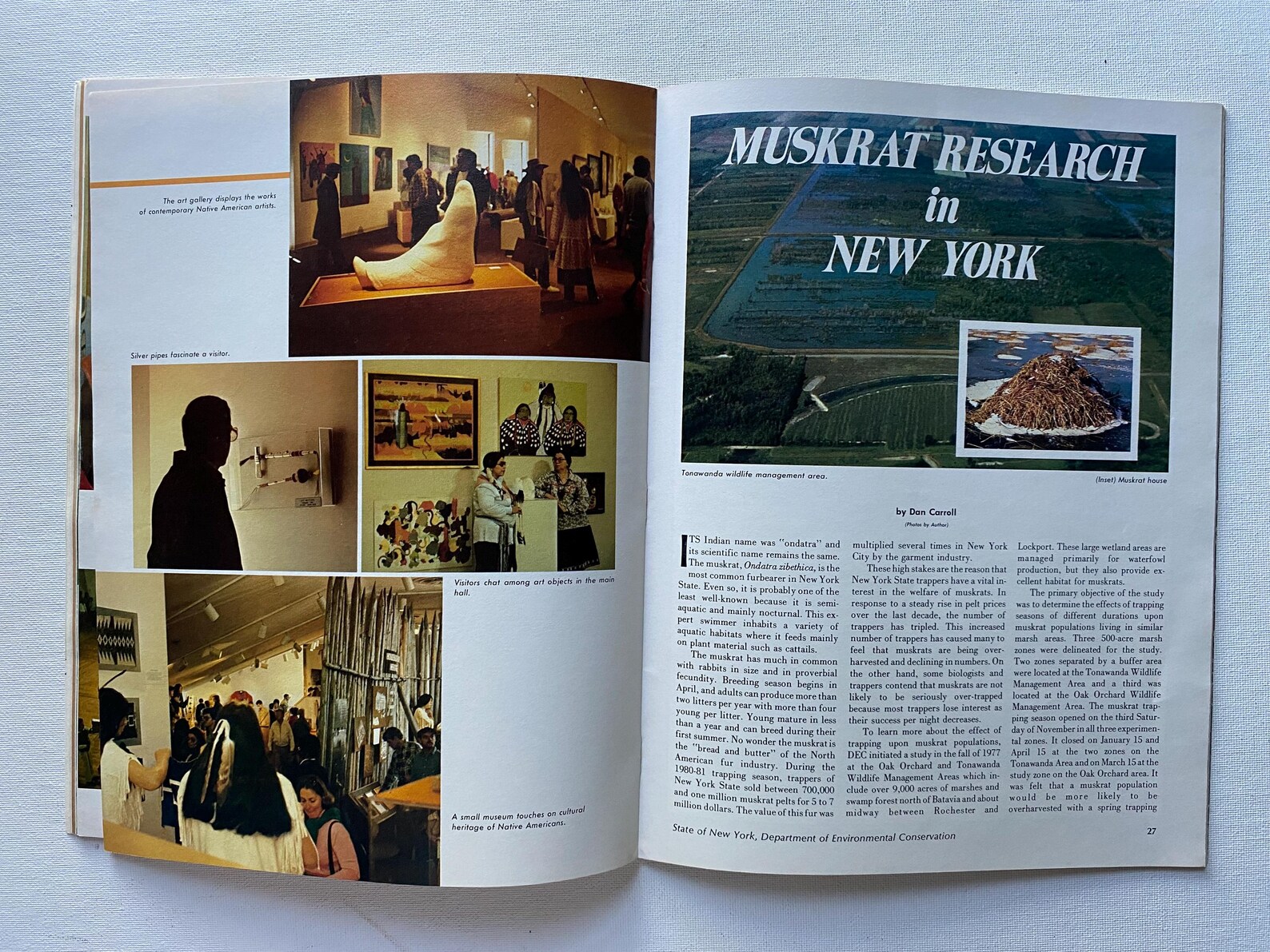 November December 1981 Issue of New York State THE CONSERVATIONIST ...