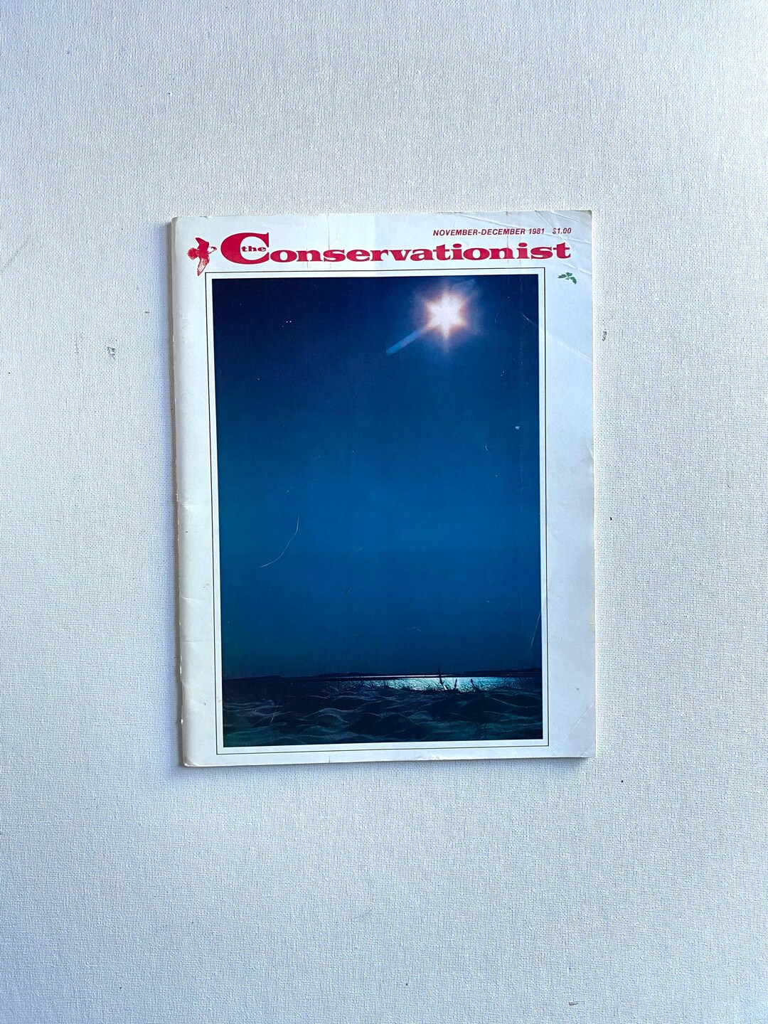 November December 1981 Issue of New York State THE CONSERVATIONIST ...