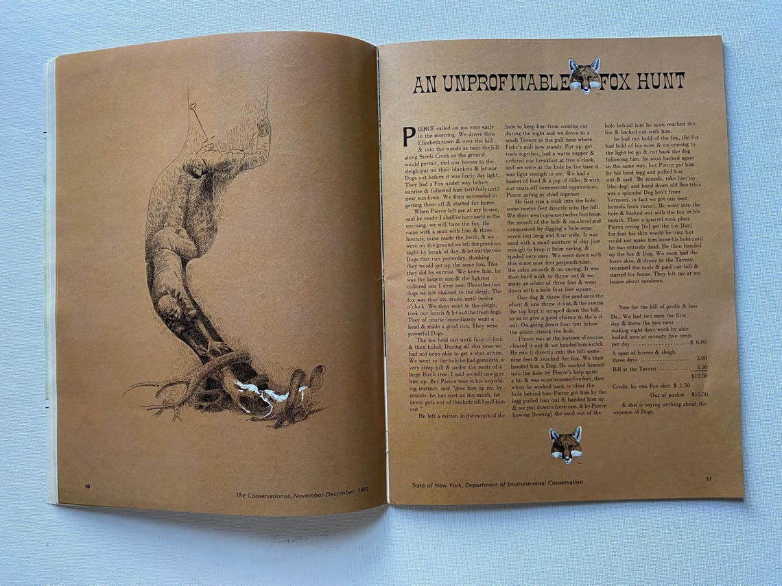 November December 1981 Issue of New York State THE CONSERVATIONIST ...