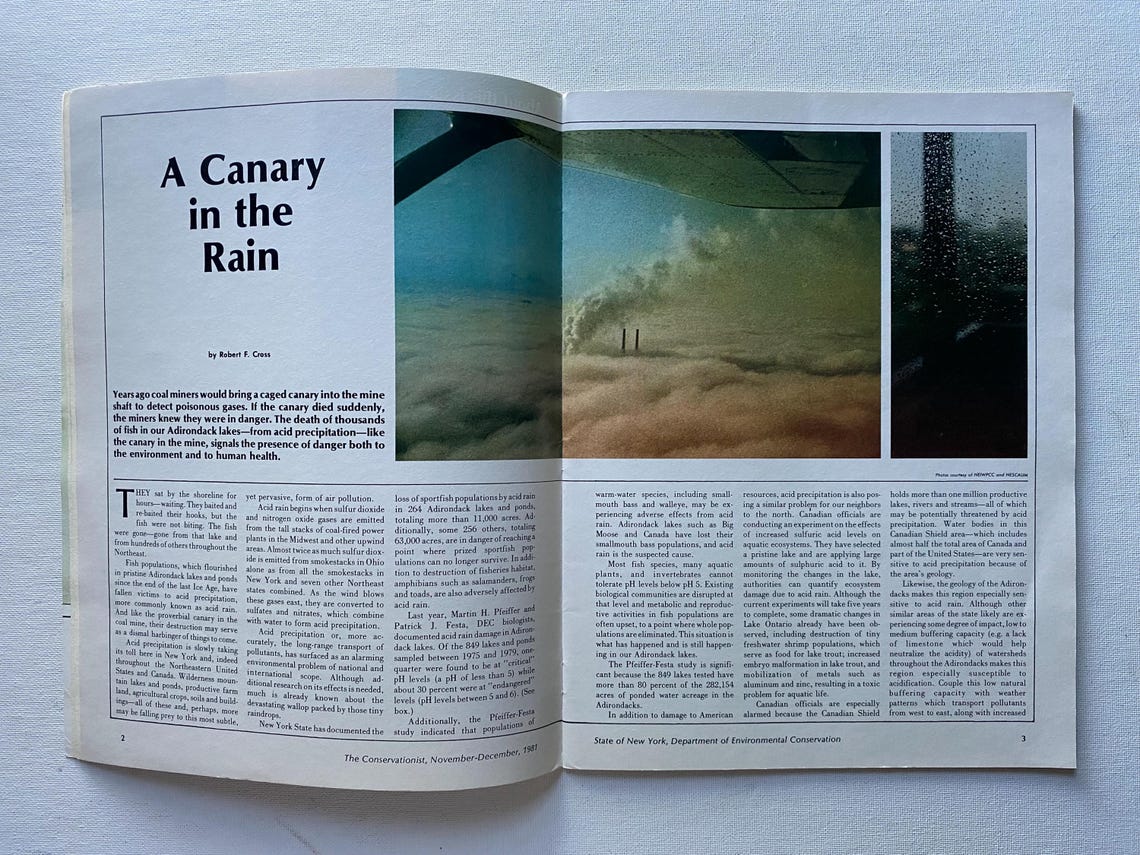 November December 1981 Issue of New York State THE CONSERVATIONIST ...