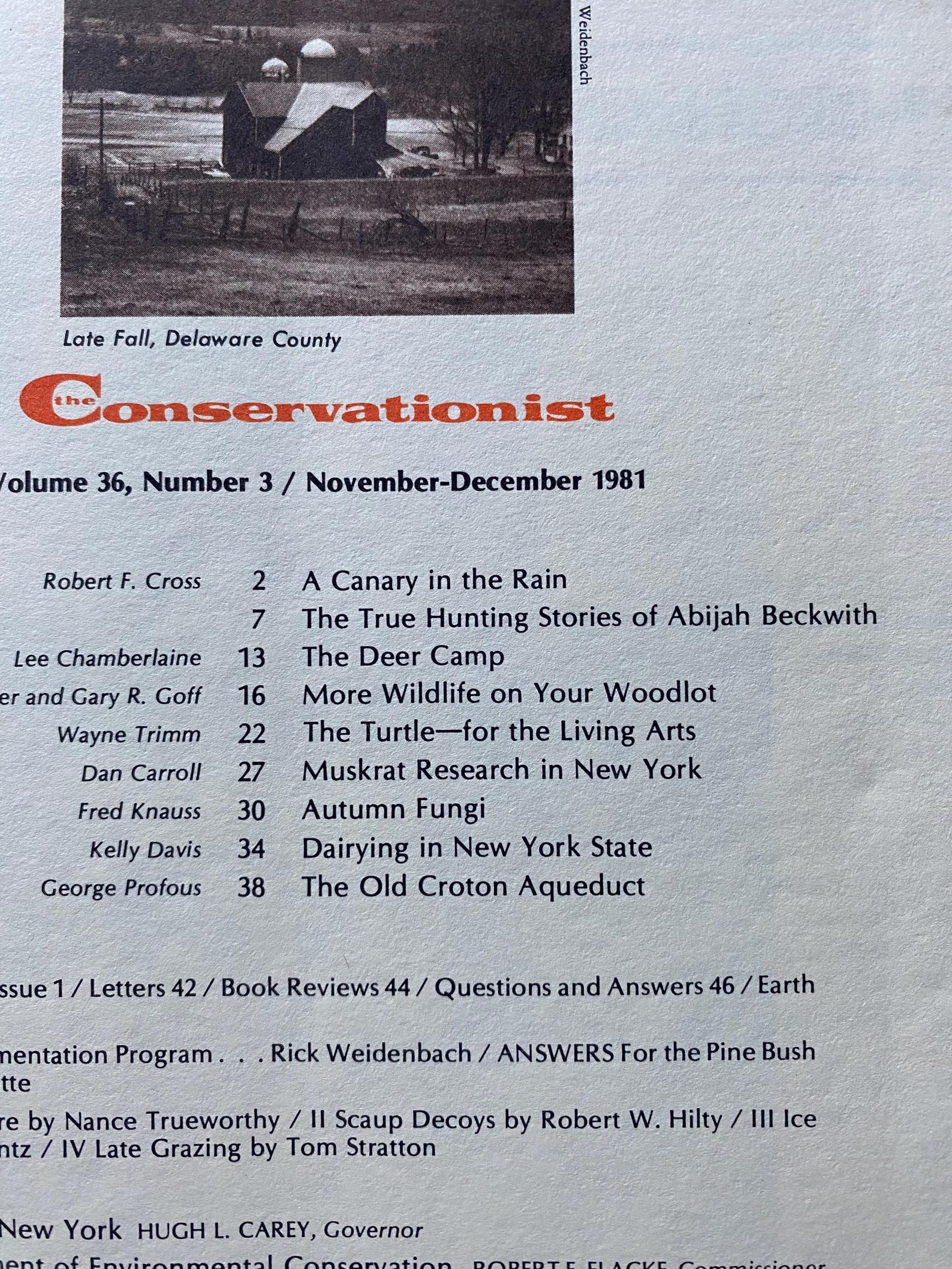 November December 1981 Issue of New York State THE CONSERVATIONIST ...