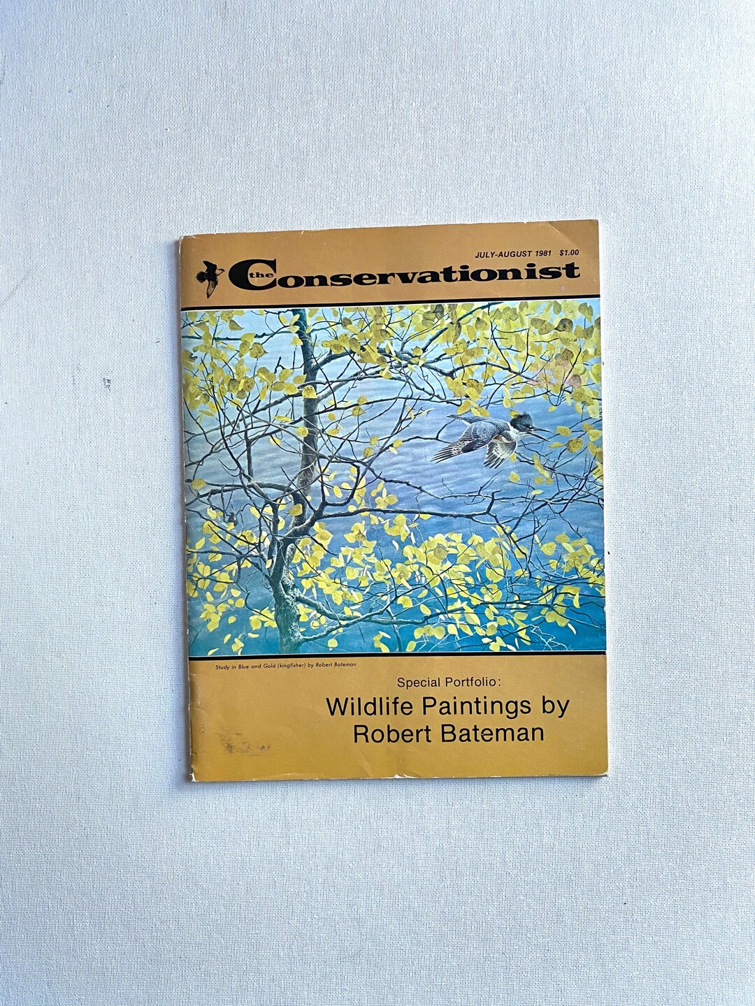 July August 1981 Issue of New York State THE CONSERVATIONIST MAGAZINE ...