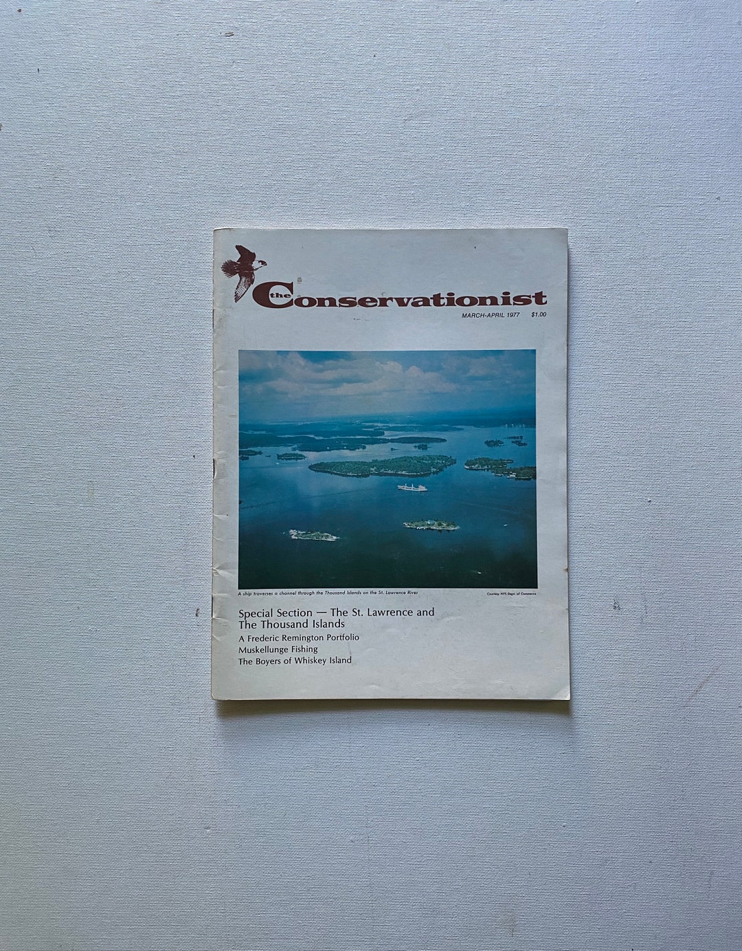 May June 1977 Issue of New York State THE CONSERVATIONIST MAGAZINE ...