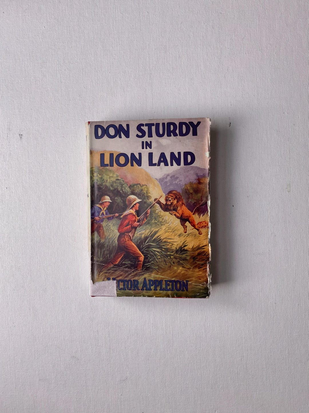 1929 Don Sturdy in Lion Land by Victor Appleton - 1st. Edition - 9th ...