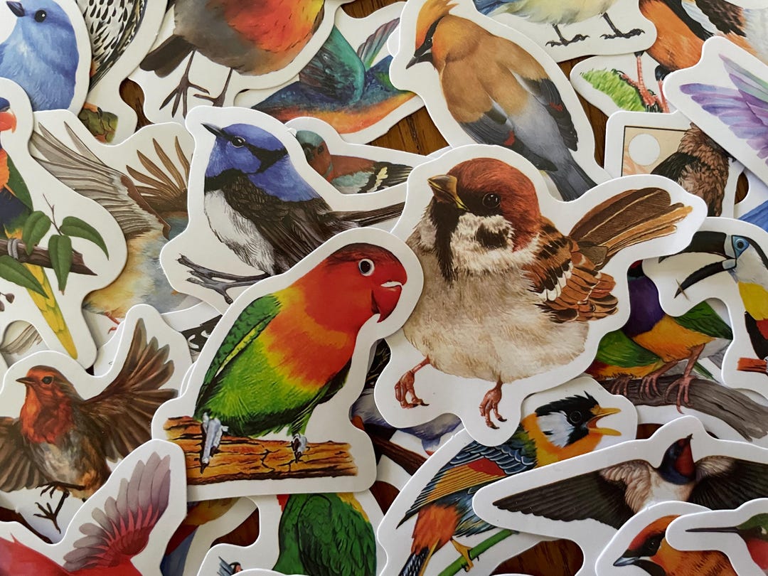 45 Bird Stickers, Gift, Art, Bird Lover, Teacher, Reward Stickers ...