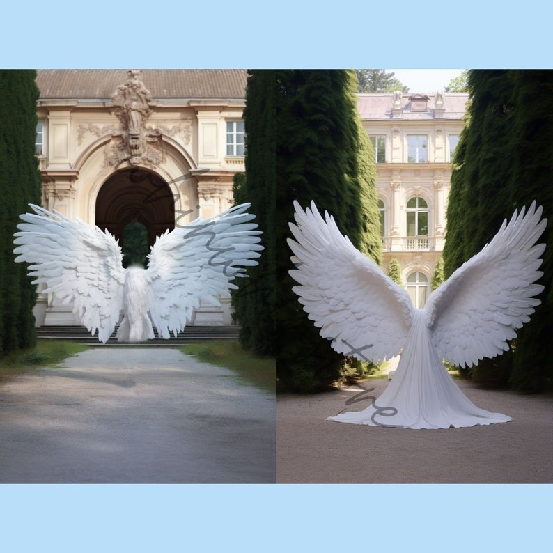 Big White Angel Wings in a Palace Garden - Digital Backdrops for ...