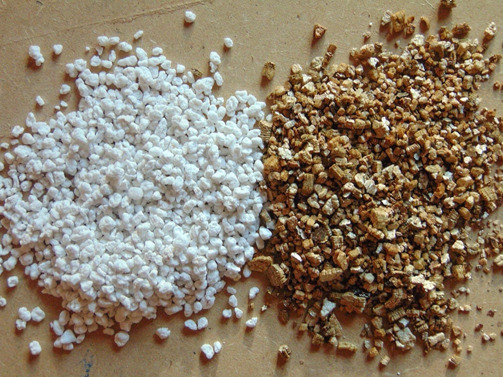 Vermiculite Vs Perlite: Which is Best for Your Potted Plants? How and ...